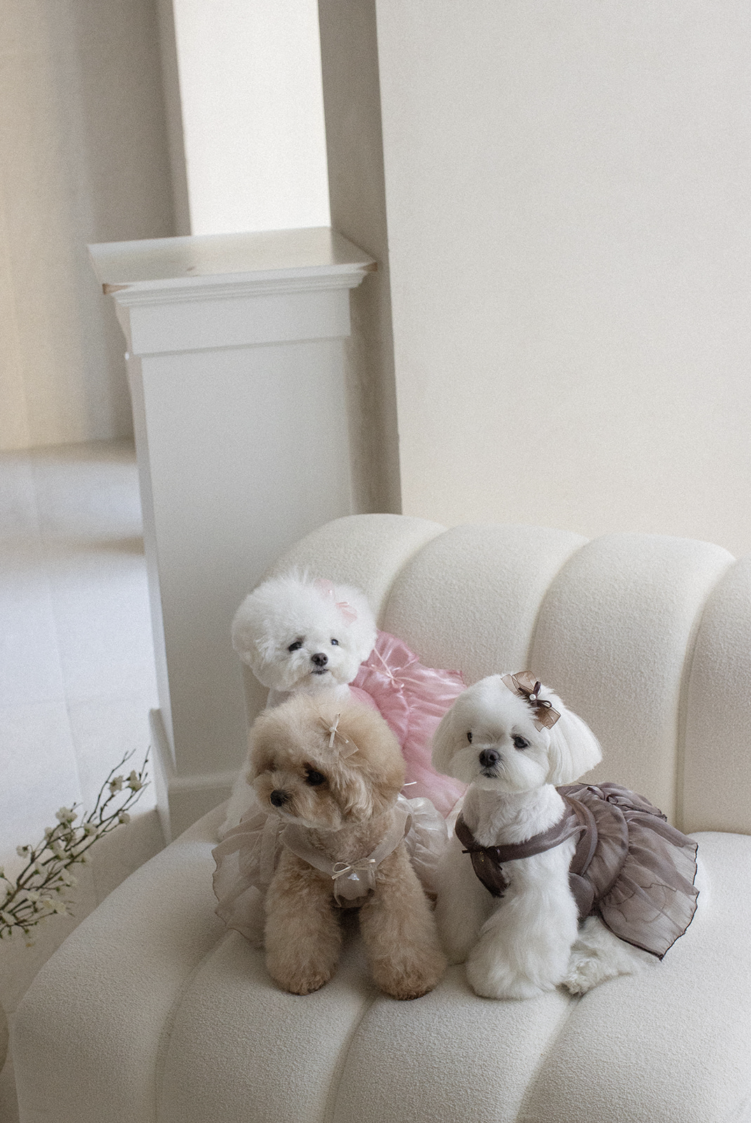 Yuhwa Hanbok Dress – Pet Kinship