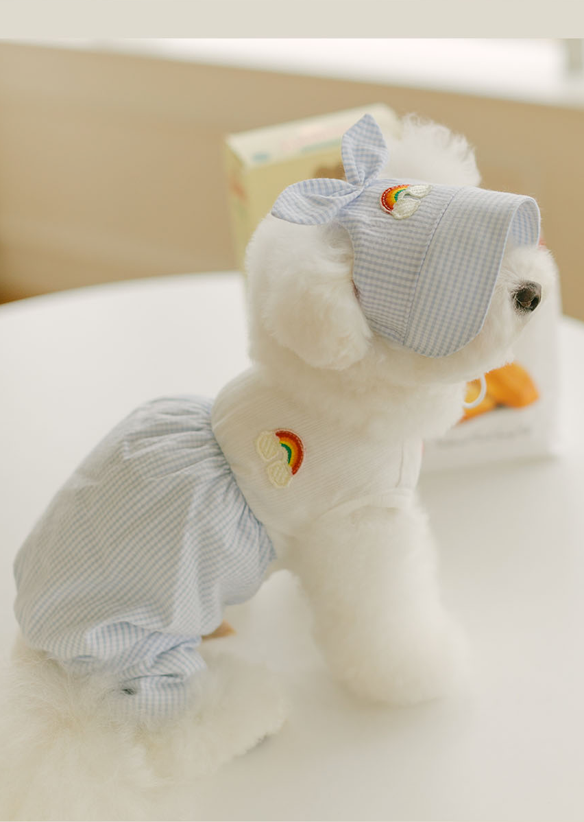 Rainbow Ribbon Cap – Pet Kinship